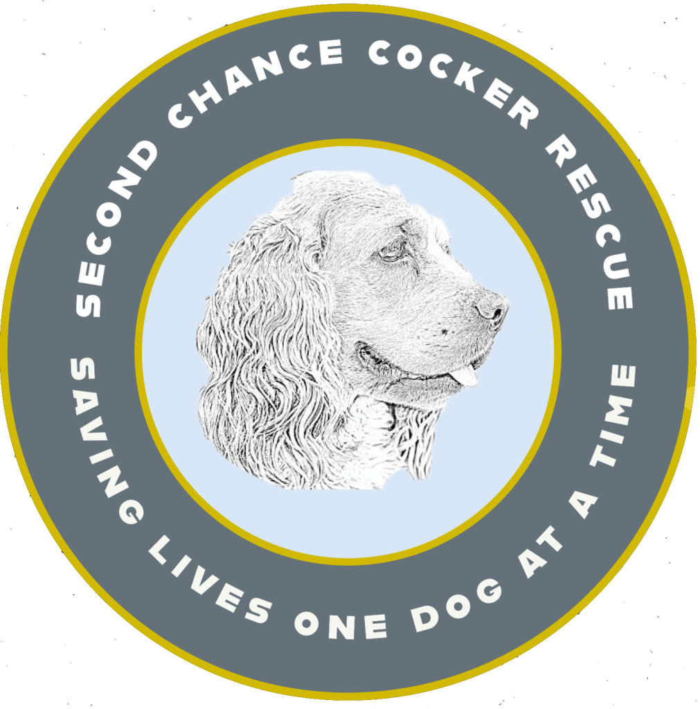 SECOND CHANCE COCKER RESCUE – Saving lives, one dog at a time.