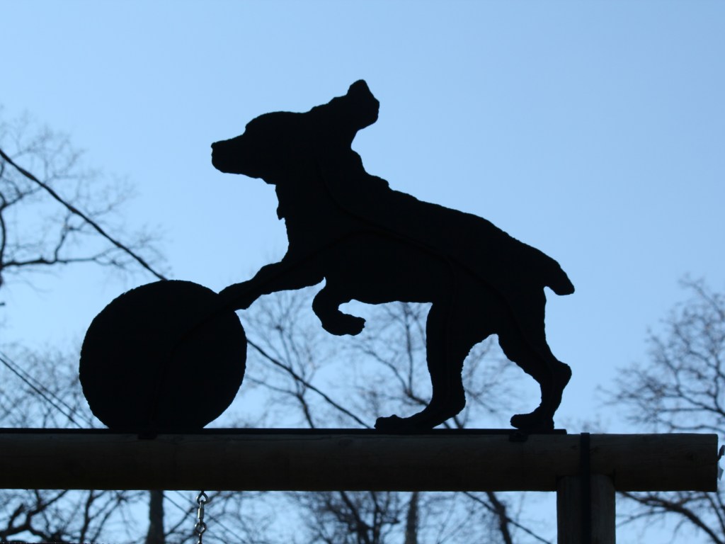 Cocker Spaniel Rescue – SECOND CHANCE COCKER RESCUE